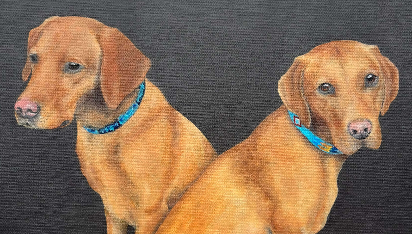Foxy Ladies | Pet Portrait of Fox Red Labrador Dogs – Amanda Gosse